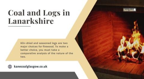 Which is a Better Choice: Seasoned Logs or Kiln Dried Logs?